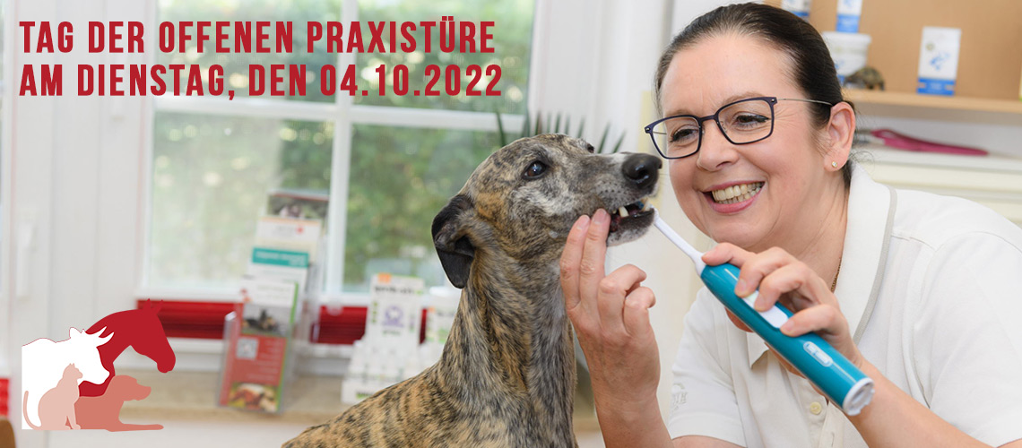 Tag der offenen Praxistüre in der Tierheilpraxis Angela Esser 2022